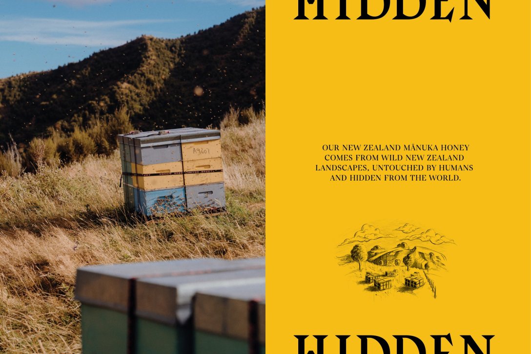 Hidden Honey-古田路9号-品牌创意/版权保护平台